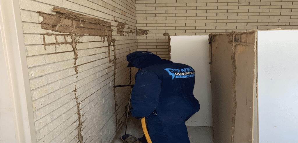 3 Common Signs of Termites in the Home - Power Over Pests